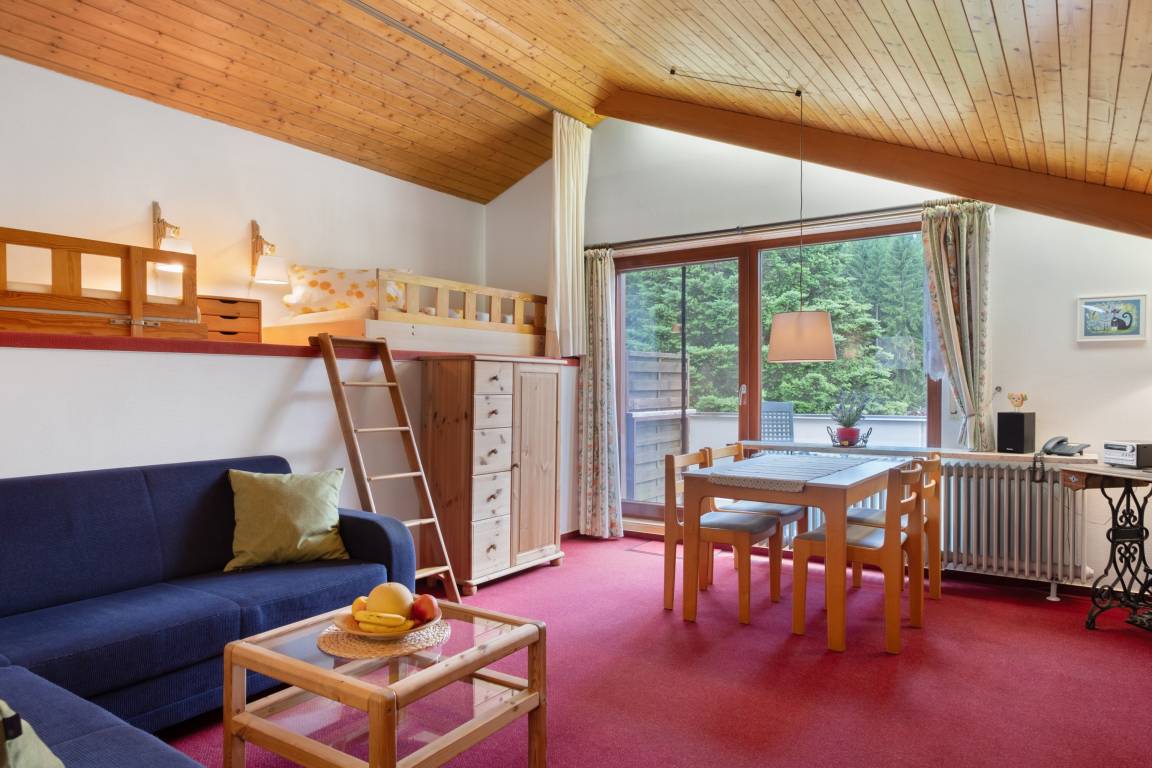 42 M² Ferienwohnung ∙ 1 Schlafzimmer ∙ 4 Gäste - Elzach