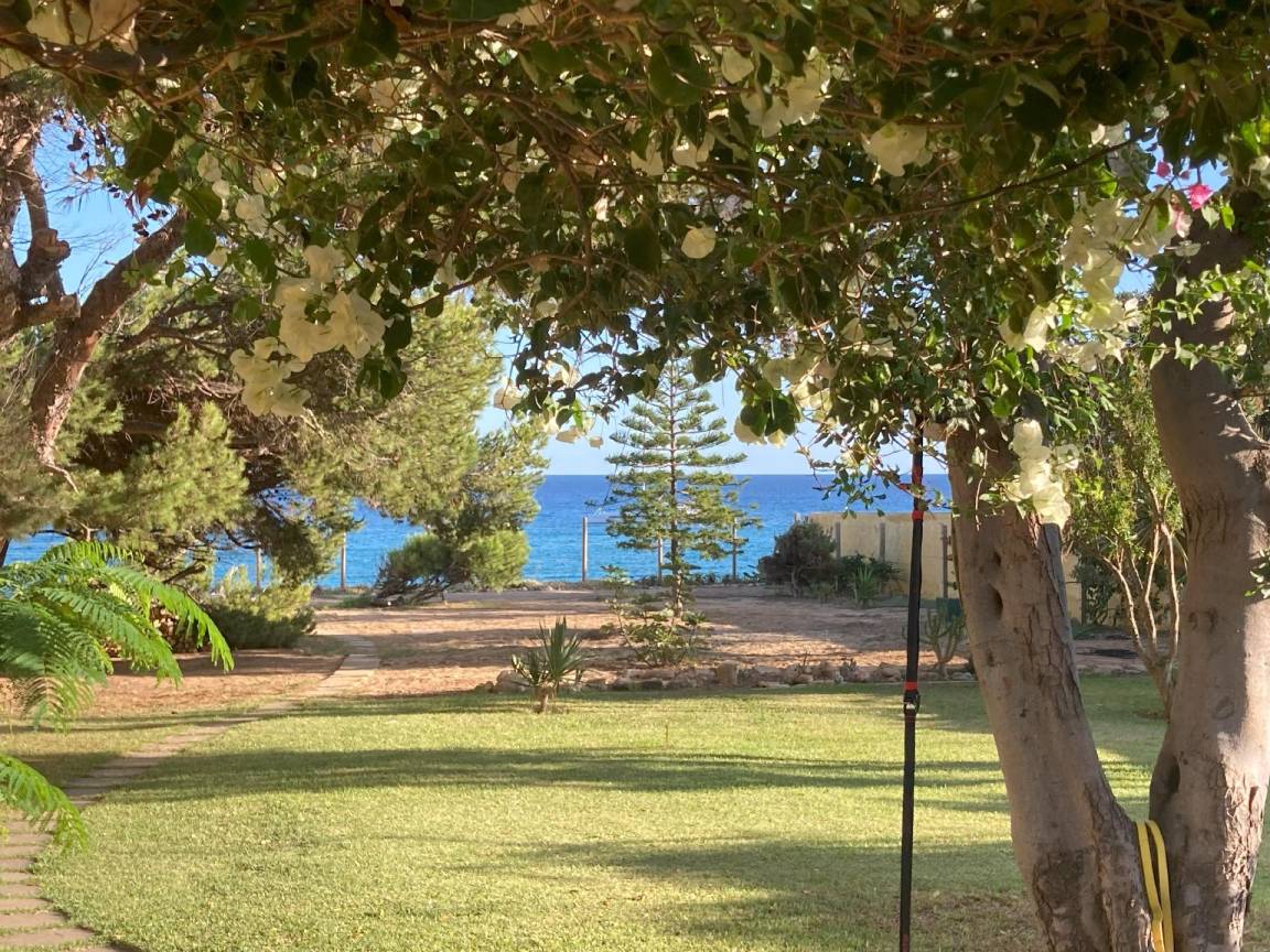 28 M² Apartment ∙ 1 Bedroom ∙ 2 Guests - Porto Santo Island