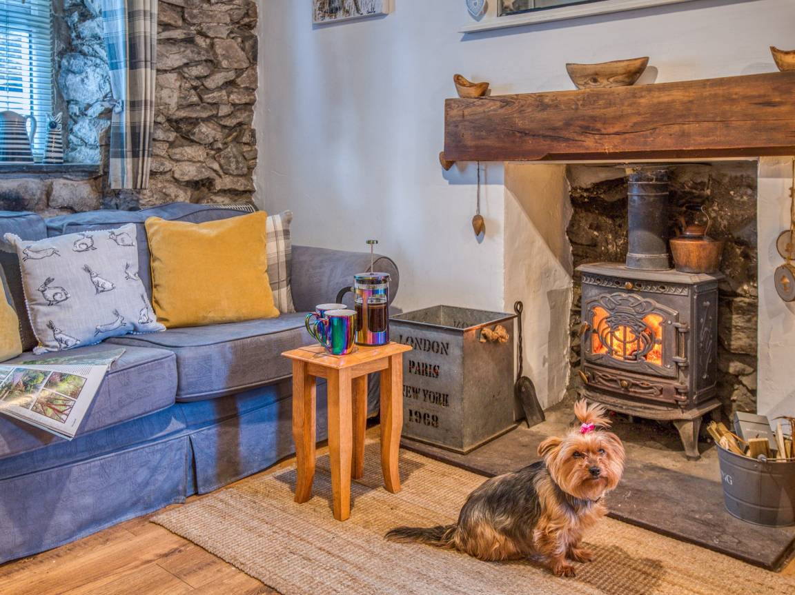Cottage ∙ 1 Bedroom ∙ 2 Guests - Nefyn