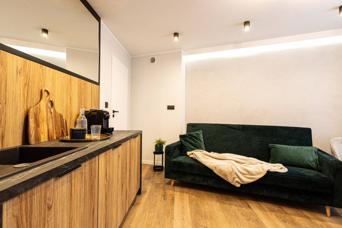 Apartment ∙ 1 Bedroom ∙ 4 Guests - Toruń