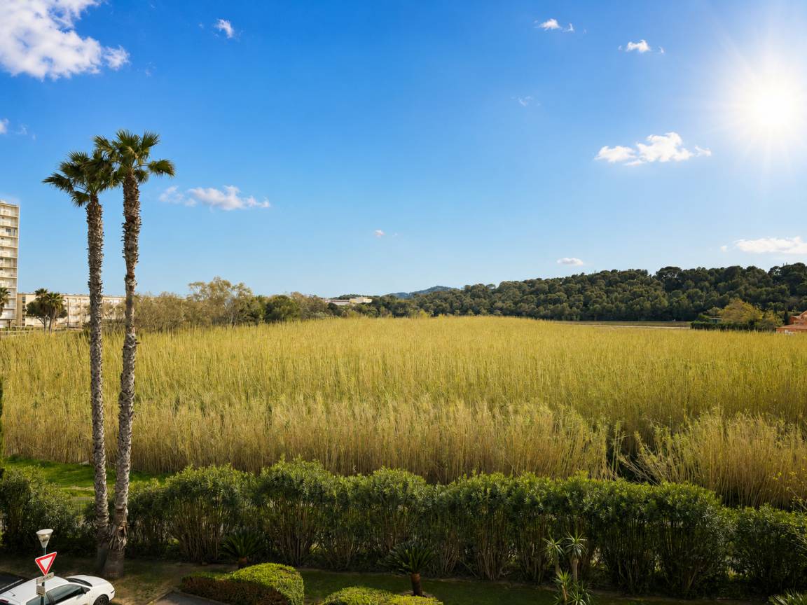 50 M² Appartement ∙ 1 Slaapkamer ∙ 4 Gasten - Île du Levant