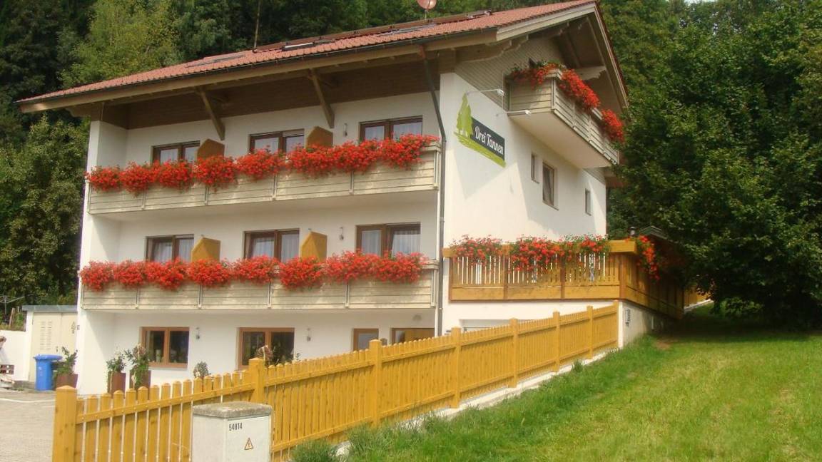 25 M² Ferienwohnung ∙ 3 Gäste - Bodenmais