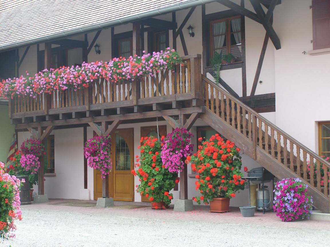 60 M² Gîte ∙ 2 Chambres ∙ 4 Personnes - Colmar