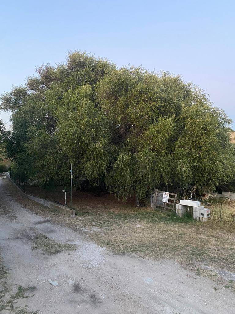 100 M² Casa Vacanza ∙ 3 Camere Da Letto ∙ 6 Ospiti - Sassari