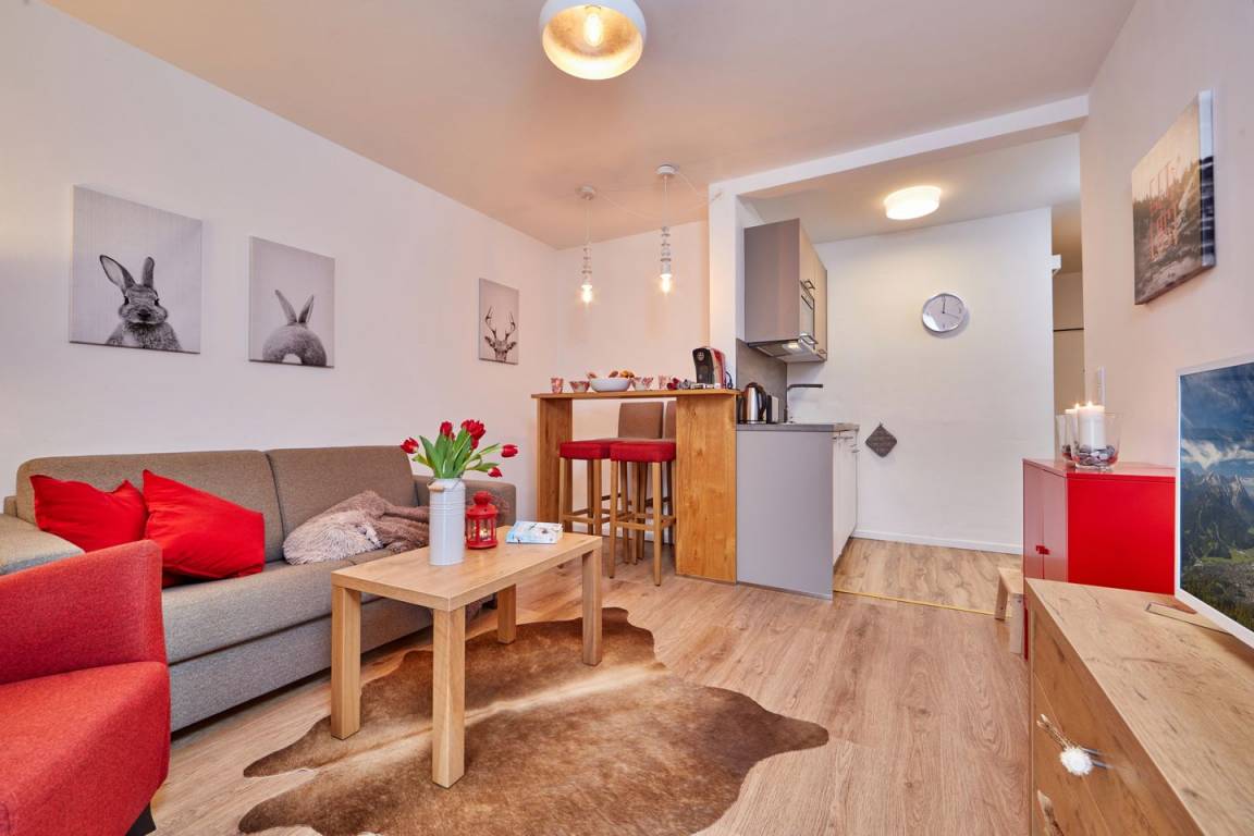 50 M² Apartment ∙ 1 Bedroom ∙ 2 Guests - Ehrwald