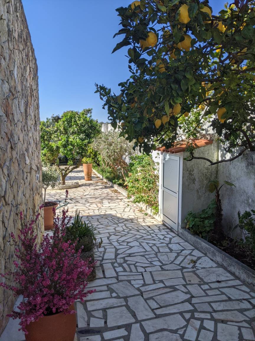 396 M² House ∙ 3 Bedrooms ∙ 8 Guests - Alcobaça