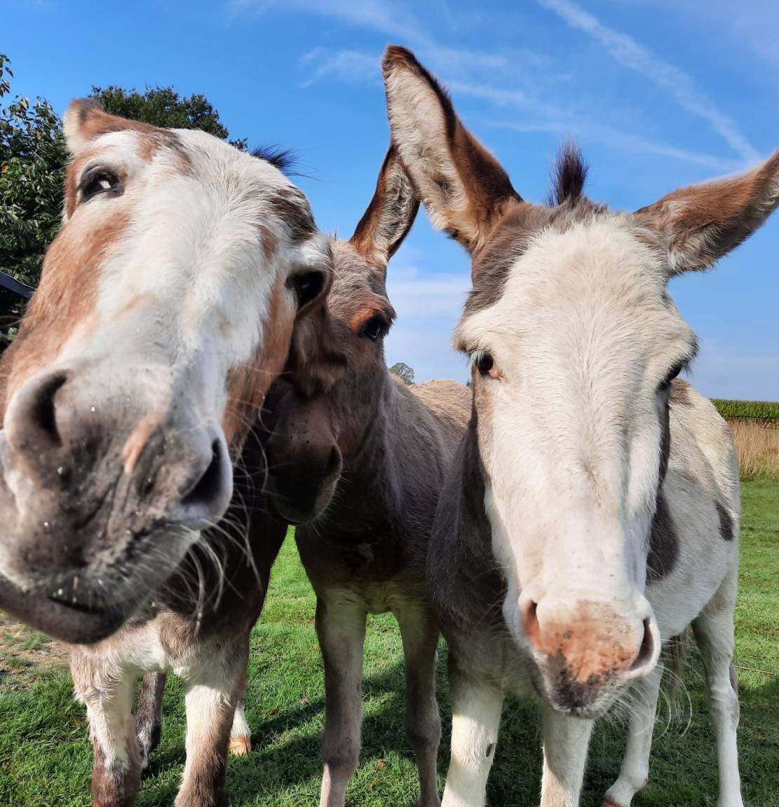 110 M² Ferienwohnung ∙ 1 Schlafzimmer ∙ 4 Gäste - Bocholt