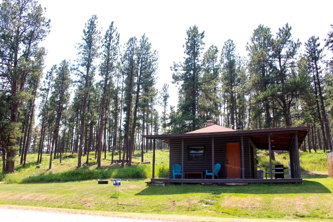 House ∙ 1 Bedroom ∙ 3 Guests - Keystone, SD