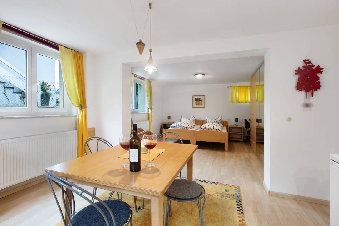 35 M² Apartment ∙ 1 Bedroom ∙ 2 Guests - Bad Säckingen