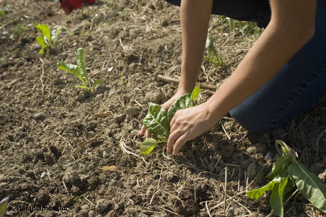 Agriturismo ∙ 2 Camere Da Letto ∙ 5 Ospiti - Gabiano