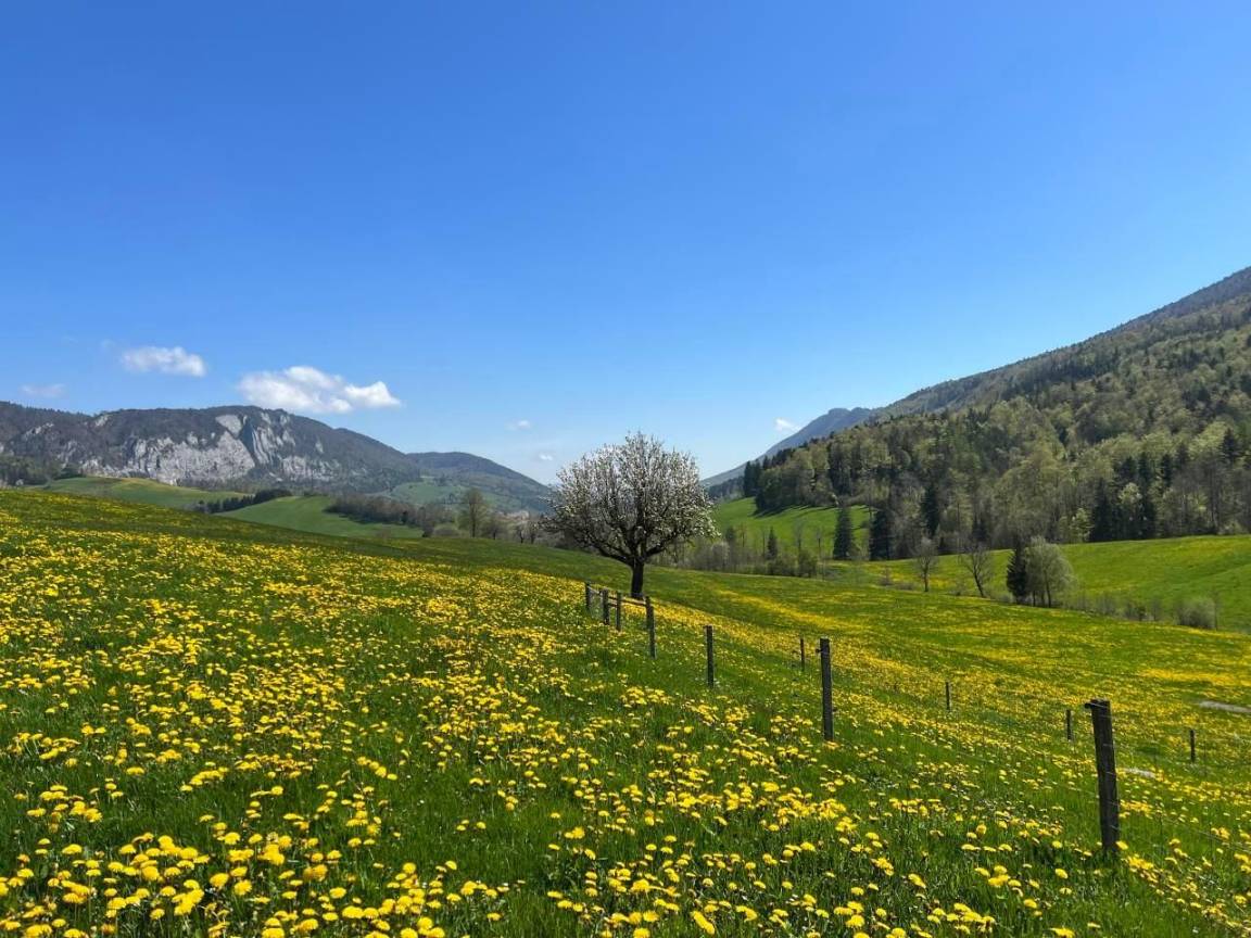 100 M² Apartment ∙ 2 Bedrooms ∙ 5 Guests - Solothurn