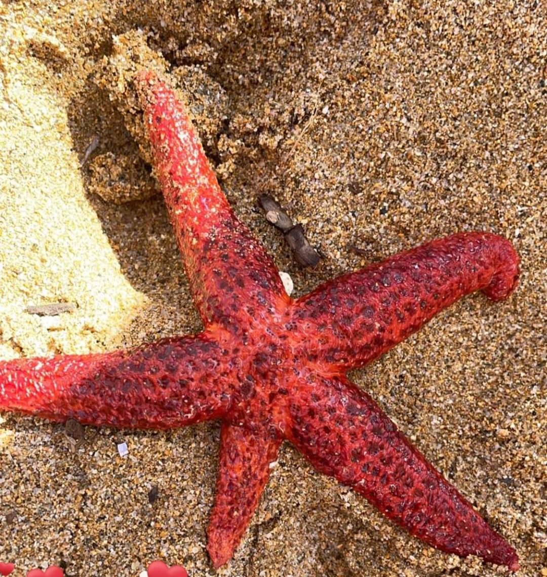 107 M² Bed And Breakfast ∙ 1 Bedroom ∙ 4 Guests - Melissa