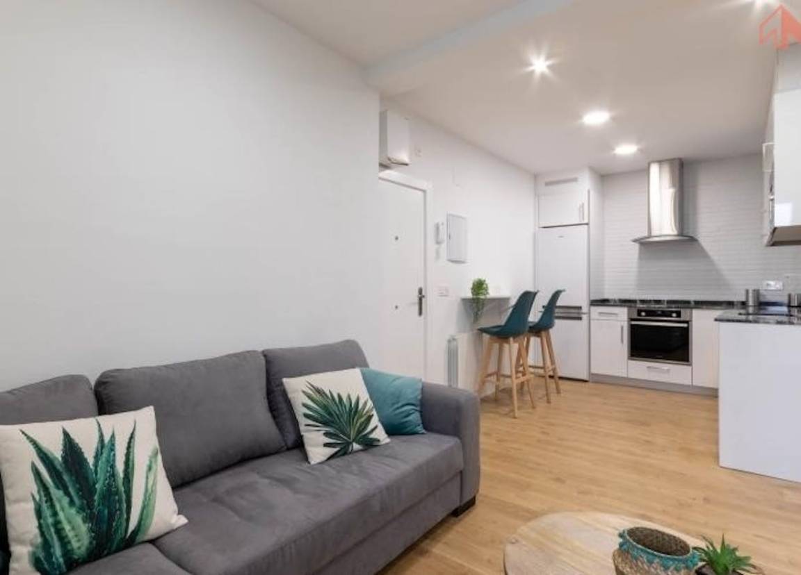 55 M² Apartment ∙ 2 Bedrooms ∙ 3 Guests - Bilbao