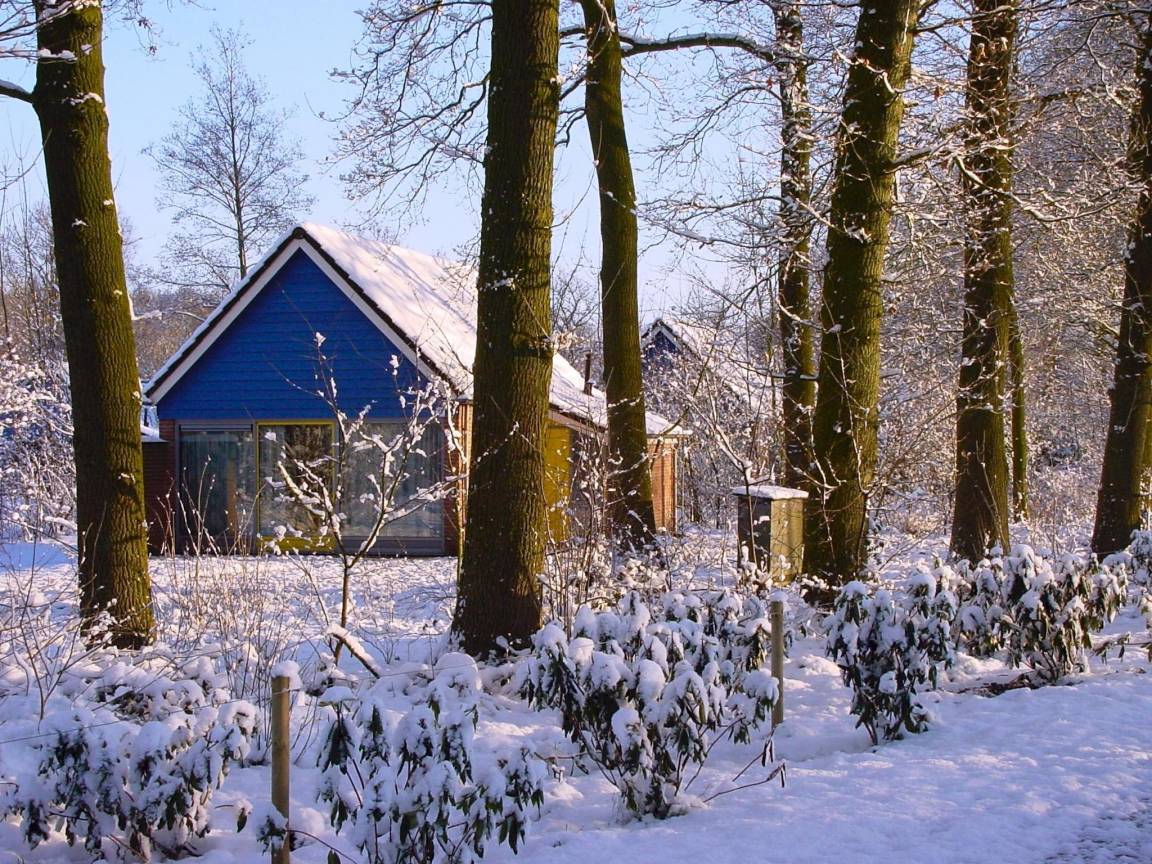 55 M² Bungalow ∙ 2 Habitaciones ∙ 4 Huéspedes - Deventer