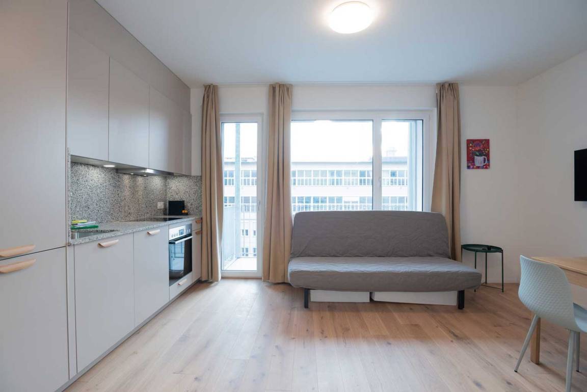 35 M² Appartement ∙ 1 Chambre ∙ 3 Personnes - Zurich