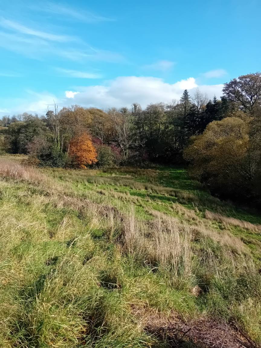 Lodge ∙ 1 Bedroom ∙ 1 Guest - Pembrokeshire