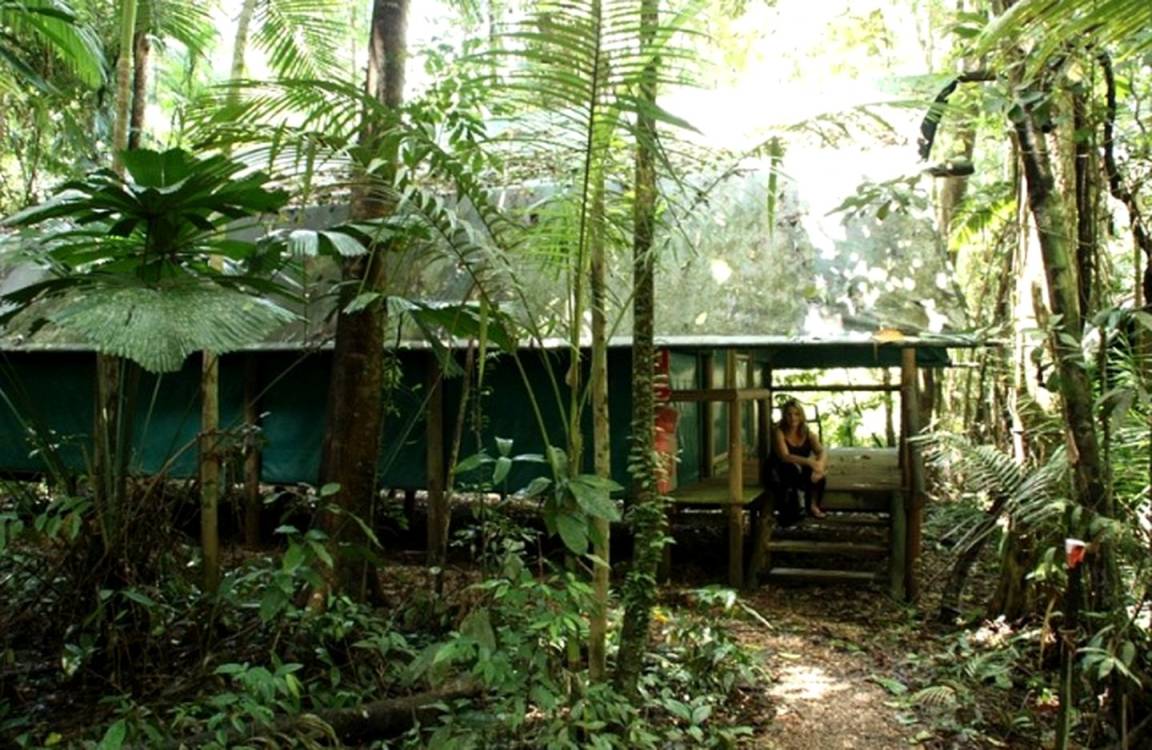 Camping ∙ 1 Bedroom ∙ 6 Guests - Daintree