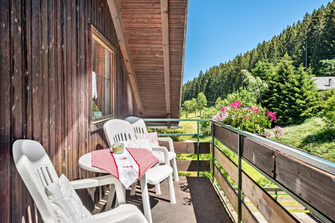90 M² Appartement ∙ 2 Chambres ∙ 6 Personnes - Feldberg