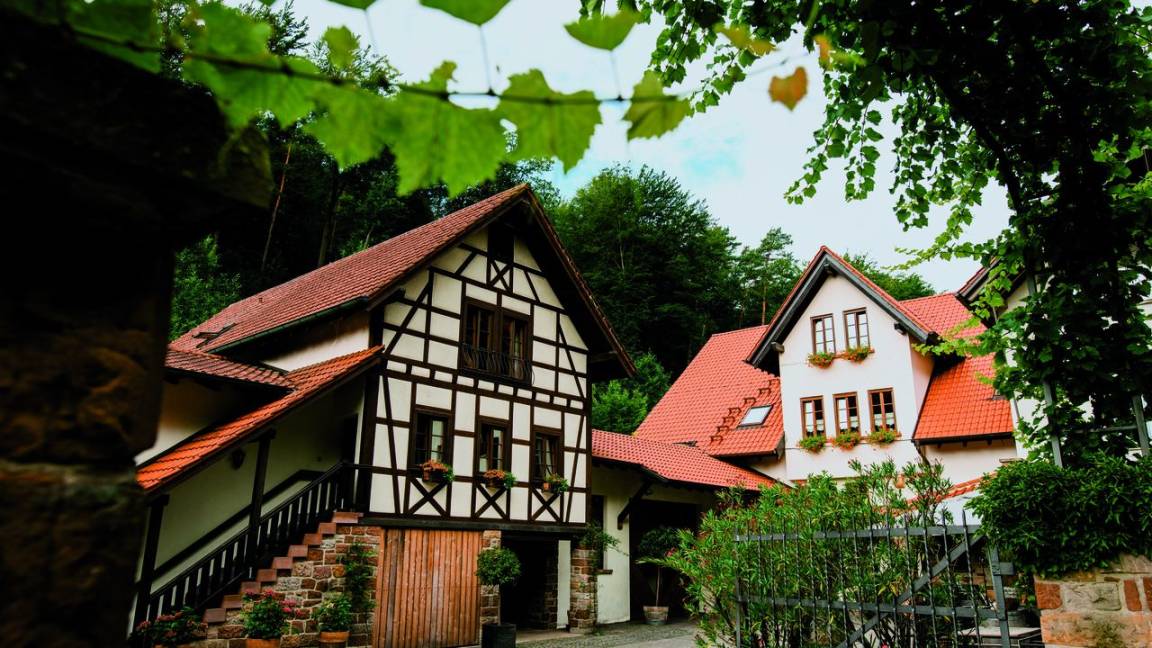 40 M² Ferienwohnung ∙ 1 Schlafzimmer ∙ 2 Gäste - Bad Bergzabern