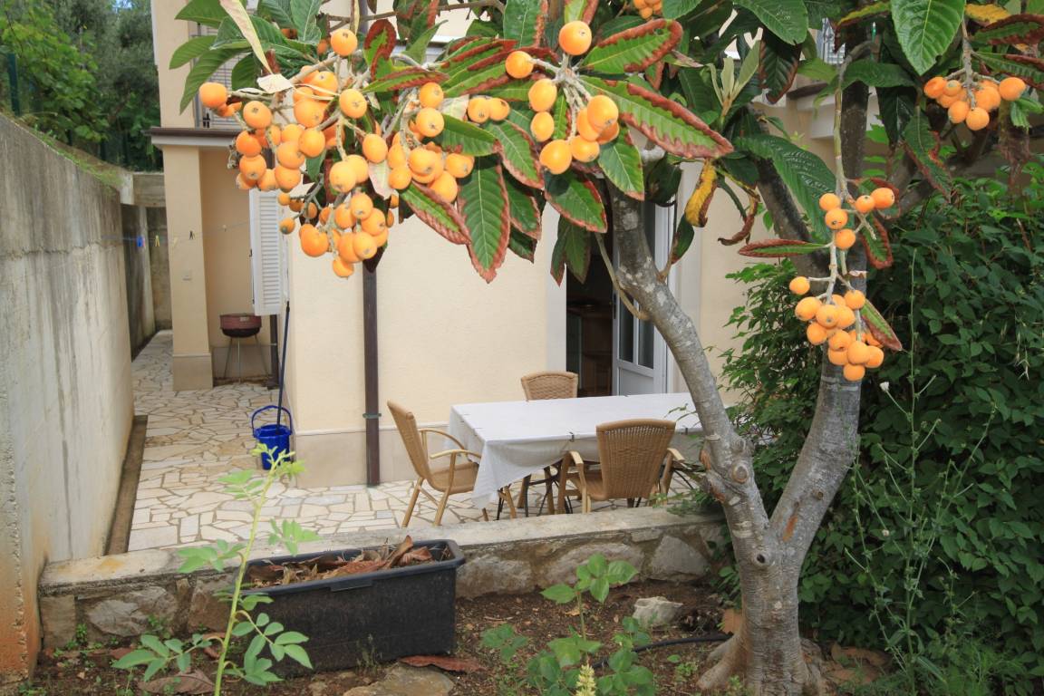 34 M² Appartamento Vacanza ∙ 1 Camera Da Letto ∙ 2 Ospiti - Neresine