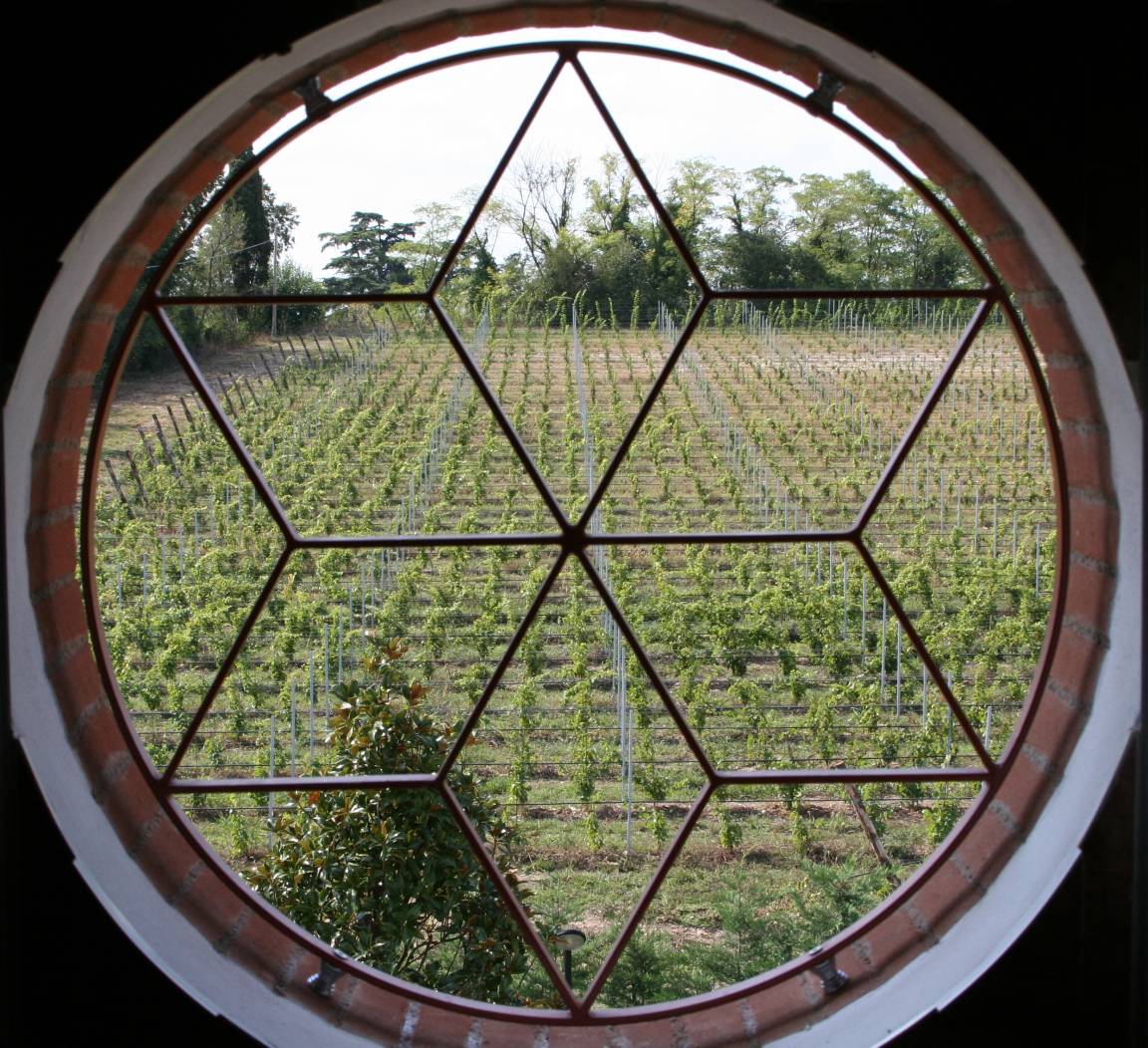 70 M² Farmhouse ∙ 1 Bedroom ∙ 5 Guests - Bussolengo