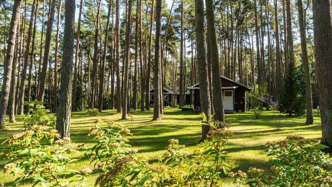 25 M² Maison De Vacances ∙ 2 Personnes - Usedom