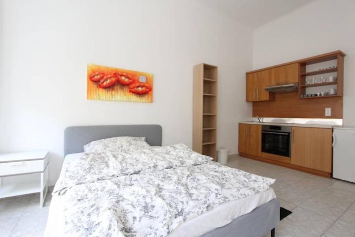27 M² Appartement ∙ 1 Chambre ∙ 1 Personne - Vienne