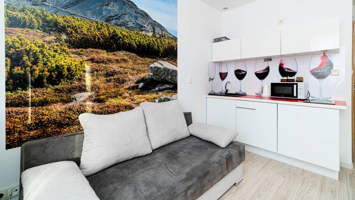 22 M² Apartment ∙ 1 Bedroom ∙ 3 Guests - Špindlerův Mlýn