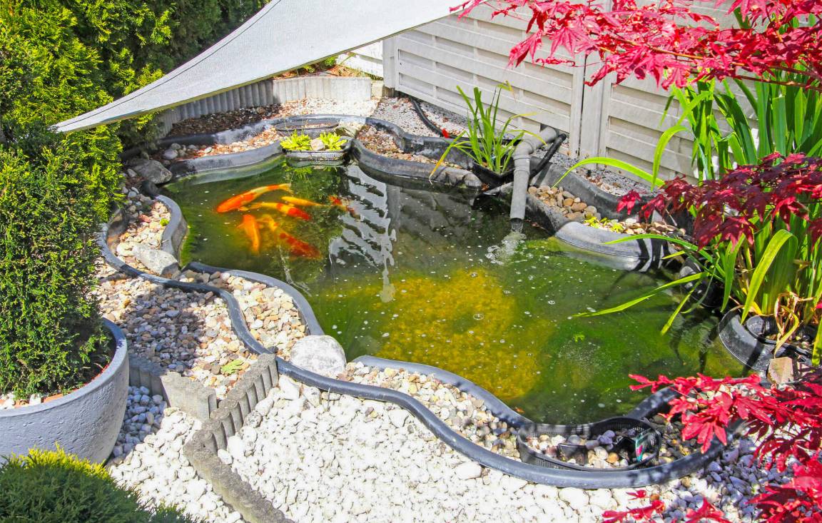 45 M² Ferienwohnung ∙ 1 Schlafzimmer ∙ 2 Gäste - Graal-Müritz