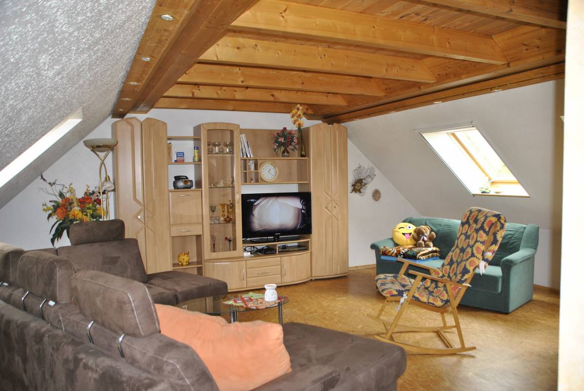 60 M² Apartment ∙ 1 Bedroom ∙ 4 Guests - Freiberg