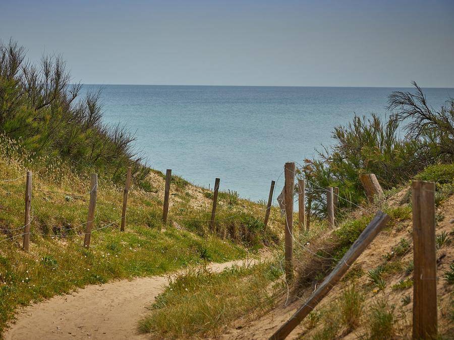 Chalet ∙ 2 Chambres ∙ 5 Personnes - Ars-en-Ré