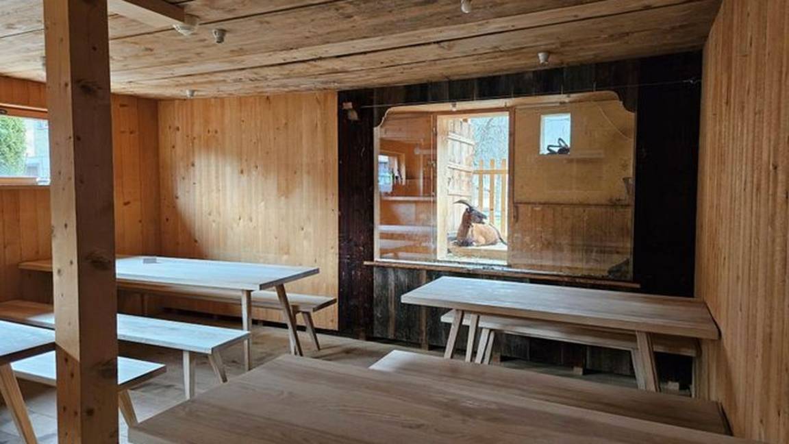 18 M² Hotel ∙ 1 Schlafzimmer ∙ 2 Gäste - Damüls