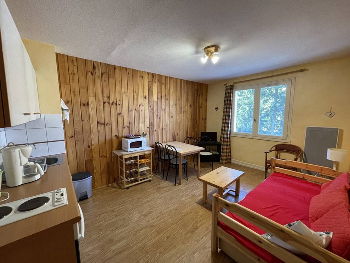 35 M² Apartment ∙ 1 Bedroom ∙ 4 Guests - Le Lioran