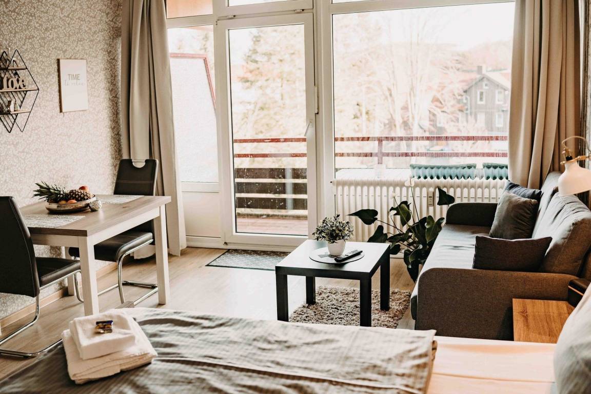 30 M² Huoneisto ∙ 1 Makuuhuone ∙ 2 Vierasta - Clausthal-Zellerfeld