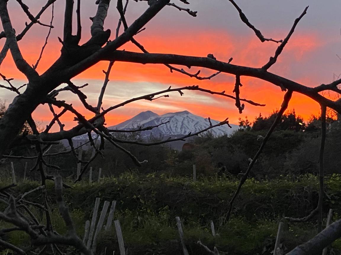 90 M² Agriturismo ∙ 1 Camera Da Letto ∙ 6 Ospiti - Linguaglossa