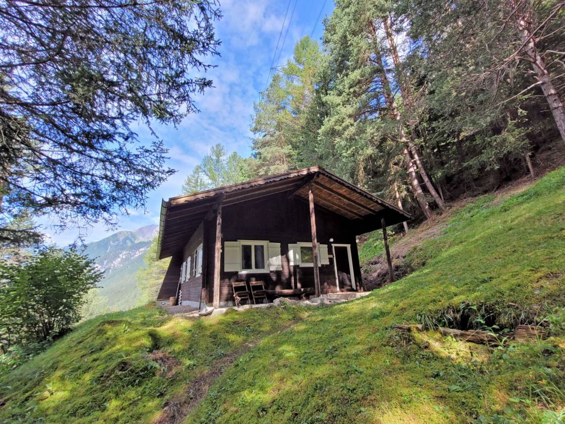 80 M² Ferienhaus ∙ 2 Schlafzimmer ∙ 7 Gäste - Steeg