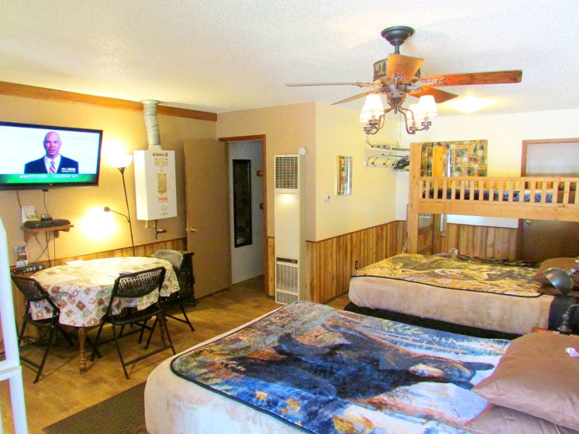 Chalet ∙ 1 Chambre ∙ 6 Personnes - Michigan