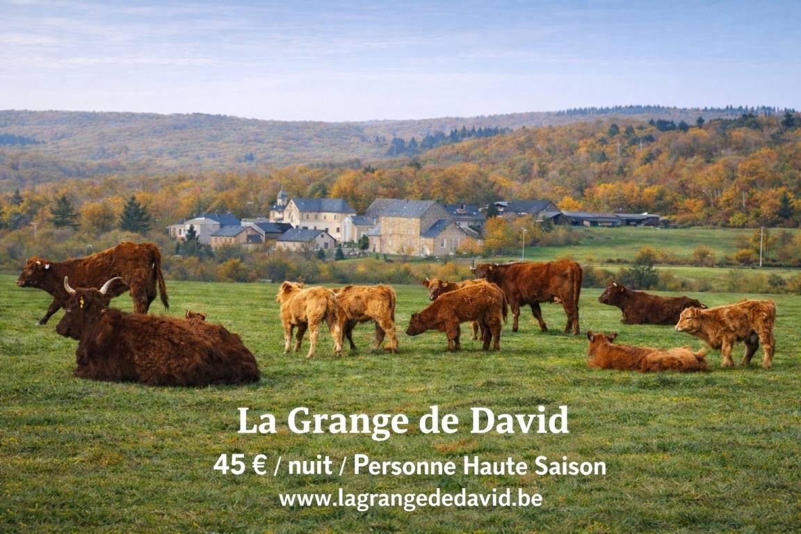 450 M² Maison De Vacances ∙ 5 Chambres ∙ 14 Personnes - Aywaille