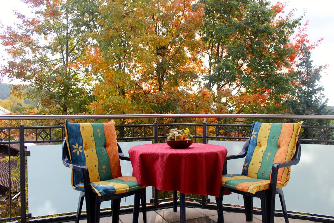 Ferienwohnung ∙ 2 Schlafzimmer ∙ 4 Gäste - Bad Kissingen