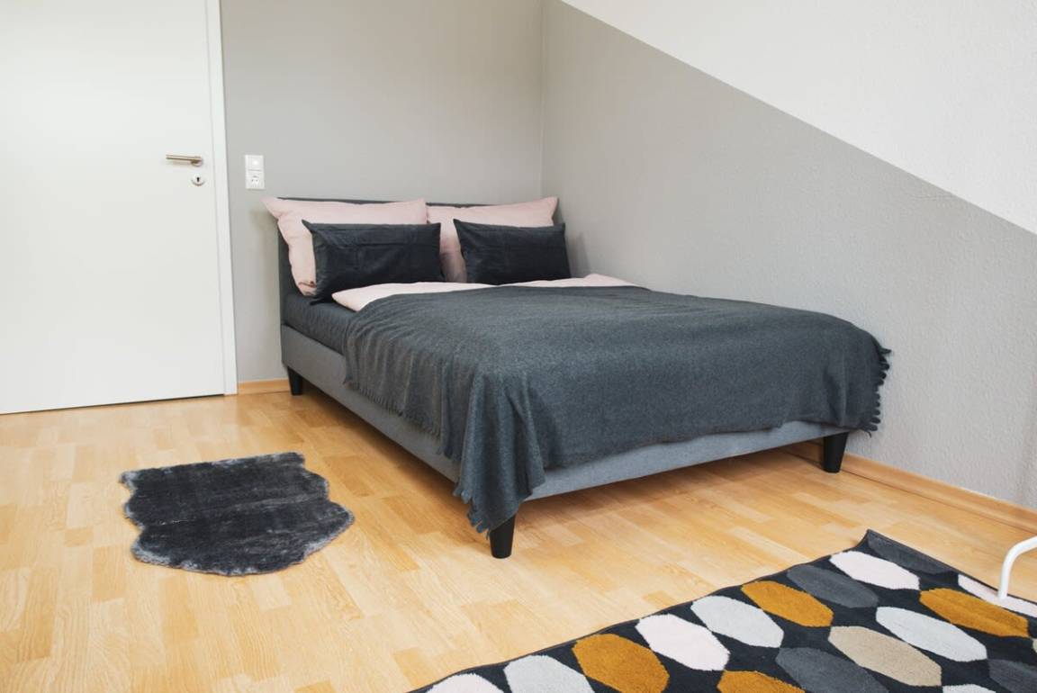 Apartment ∙ 1 Bedroom ∙ 4 Guests - Halle (Saale)