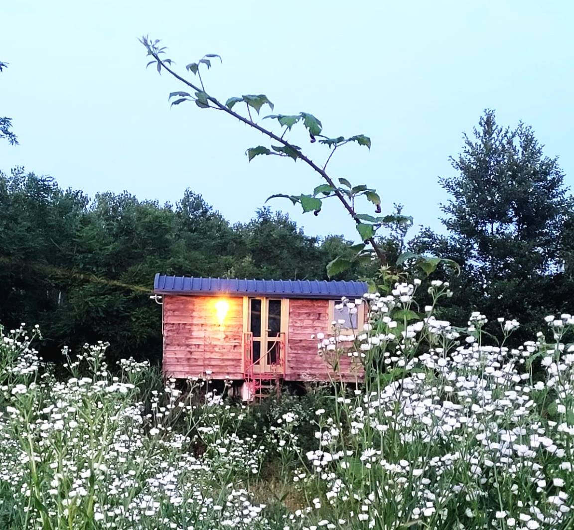 12 M² Boerderij ∙ 1 Slaapkamer ∙ 2 Gasten - Rho