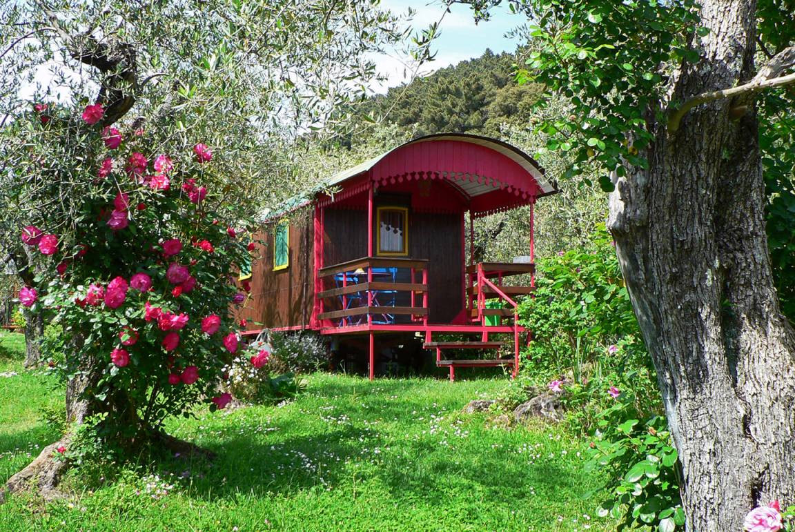 14 M² Agriturismo ∙ 1 Camera Da Letto ∙ 2 Ospiti - Camaiore