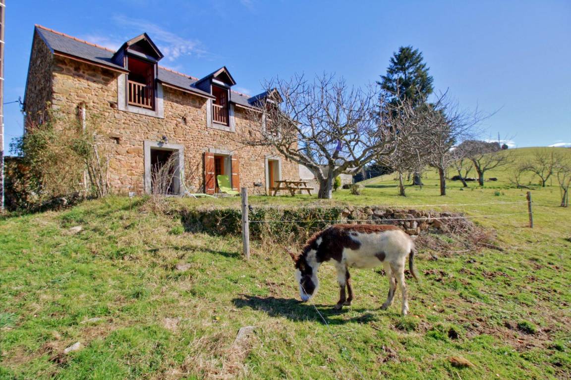 120 M² Gîte ∙ 3 Bedrooms ∙ 7 Guests - Lourdes