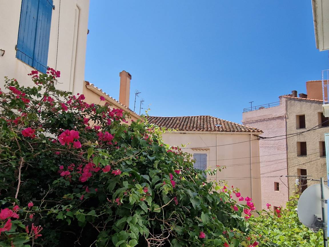 50 M² Appartement ∙ 2 Chambres ∙ 4 Personnes - Banyuls-sur-Mer