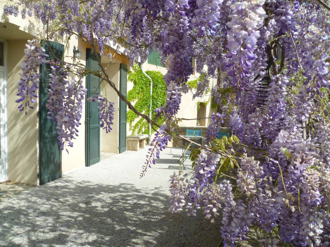 37 M² Gîte ∙ 2 Personnes - Bouzigues