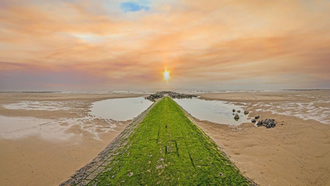 35 M² Hotel ∙ 1 Camera Da Letto ∙ 4 Ospiti - Nieuwpoort