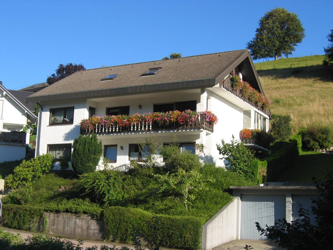 45 M² Apartment ∙ 1 Bedroom ∙ 4 Guests - Schiltach
