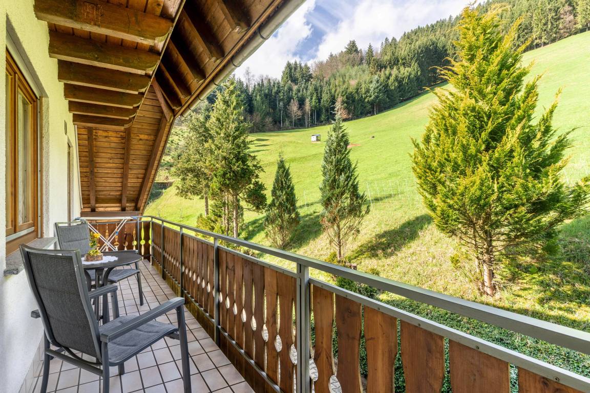 45 M² Apartment ∙ 1 Bedroom ∙ 4 Guests - Haslach im Kinzigtal