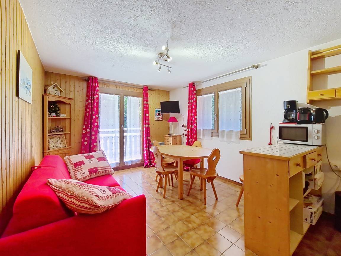 31 M² Appartement ∙ 1 Chambre ∙ 4 Personnes - Châtel