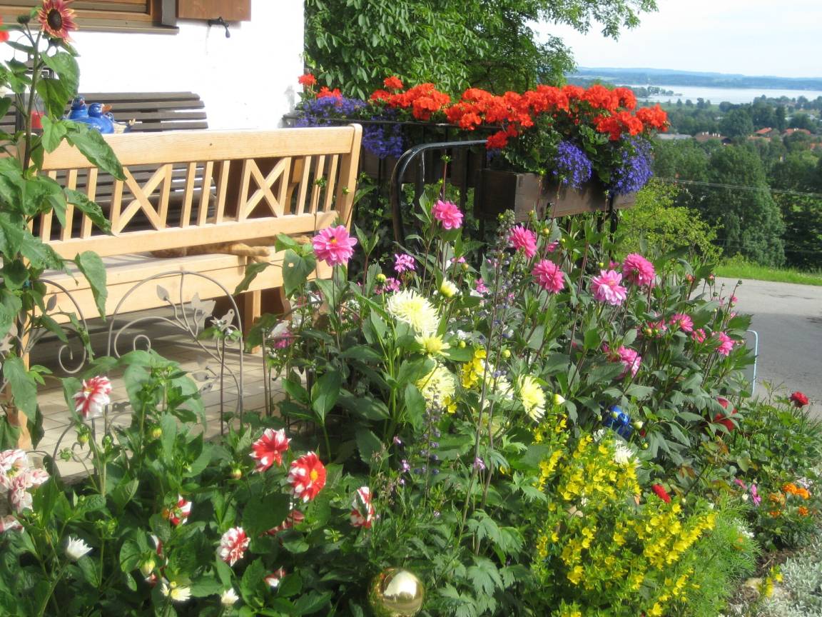 55 M² Apartment ∙ 1 Bedroom ∙ 3 Guests - Prien am Chiemsee